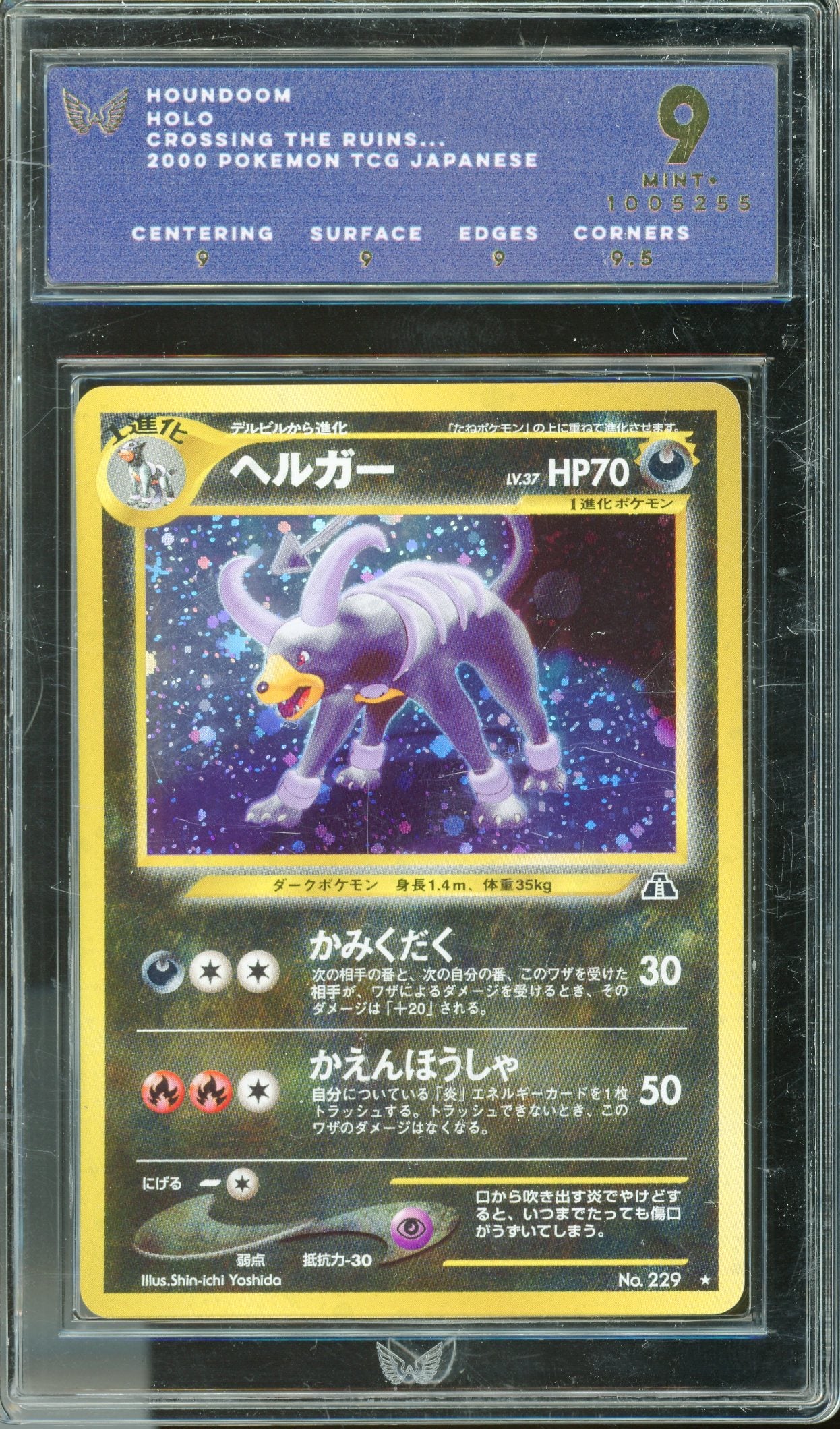 ARK 9 Houndoom Holo (229) [Crossing The Ruins] – Troll Aus Melb PTY LTD